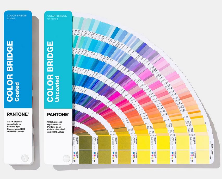 Conceptos Básicos de Color | SKILLS TECNOLÓGICOS BÁSICOS